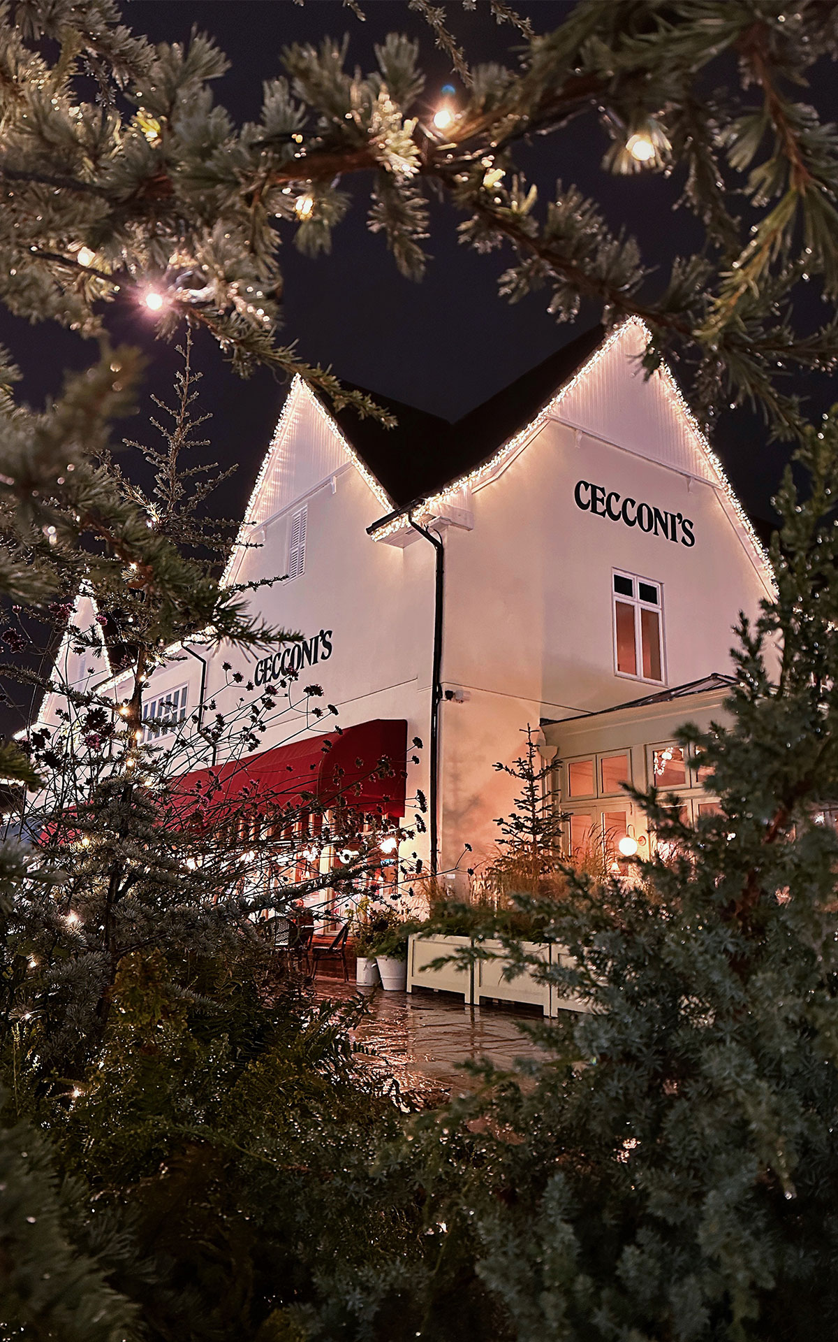 Cecconi's Restaurant | Italian Cuisine | Bicester Village
