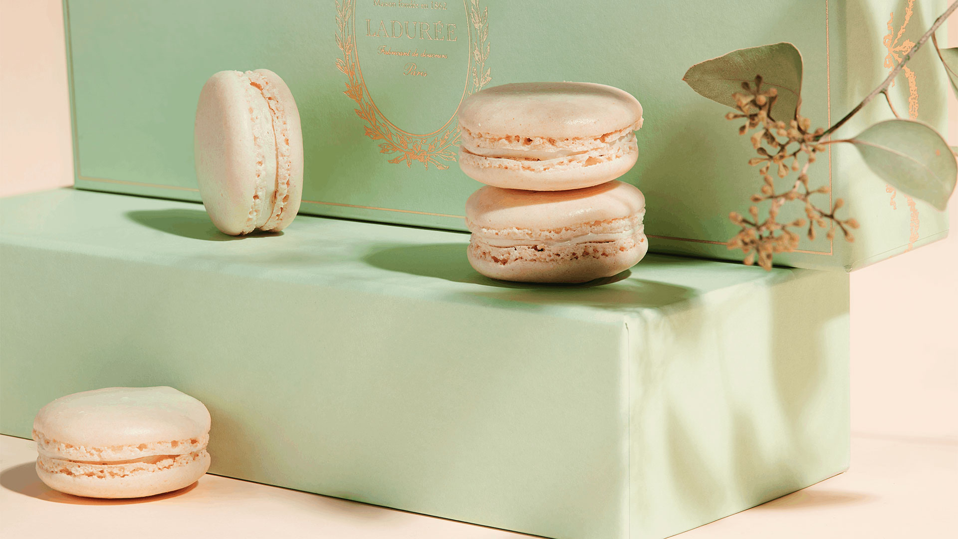 Ladurée Paris kiosk | French Macarons | Bicester Village