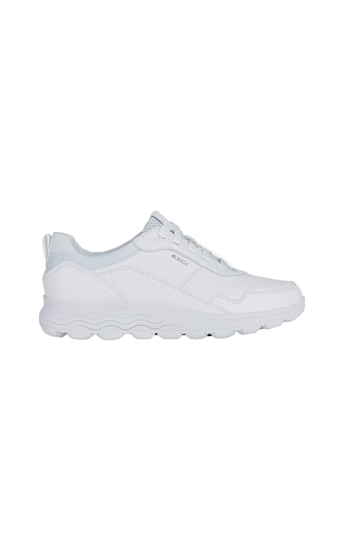 GEOX | Outlet | Maasmechelen Village